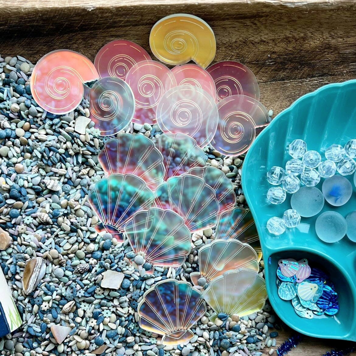 Iridescent Seashell Sensory Play Set Beach Inspired Loose - Etsy