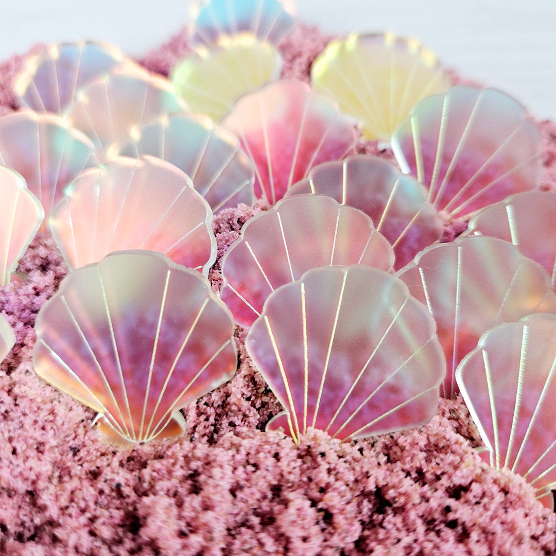 Iridescent Seashell Sensory Counters - Beach Inspired Loose Parts ...