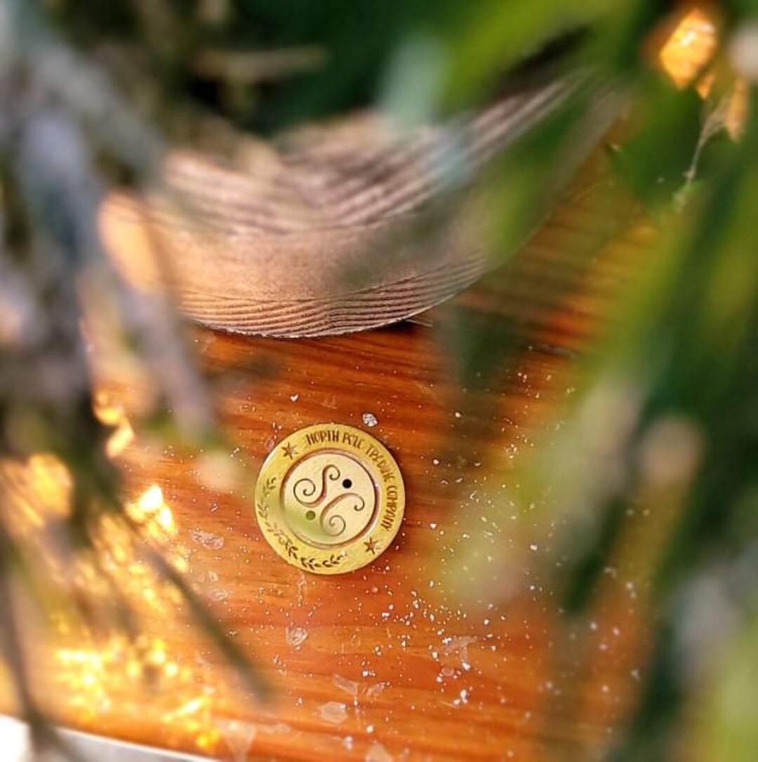 Santa's Missing Button With Special Letter From Santa | Gift for Kids ...