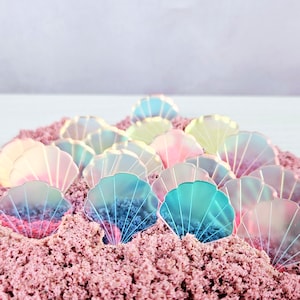 Iridescent Seashell Sensory Counters - Beach Inspired Loose Parts ...