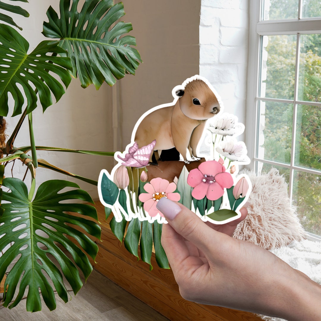 Cute Baby Capybara Sticker Capybara Decal Animal Decal - Etsy