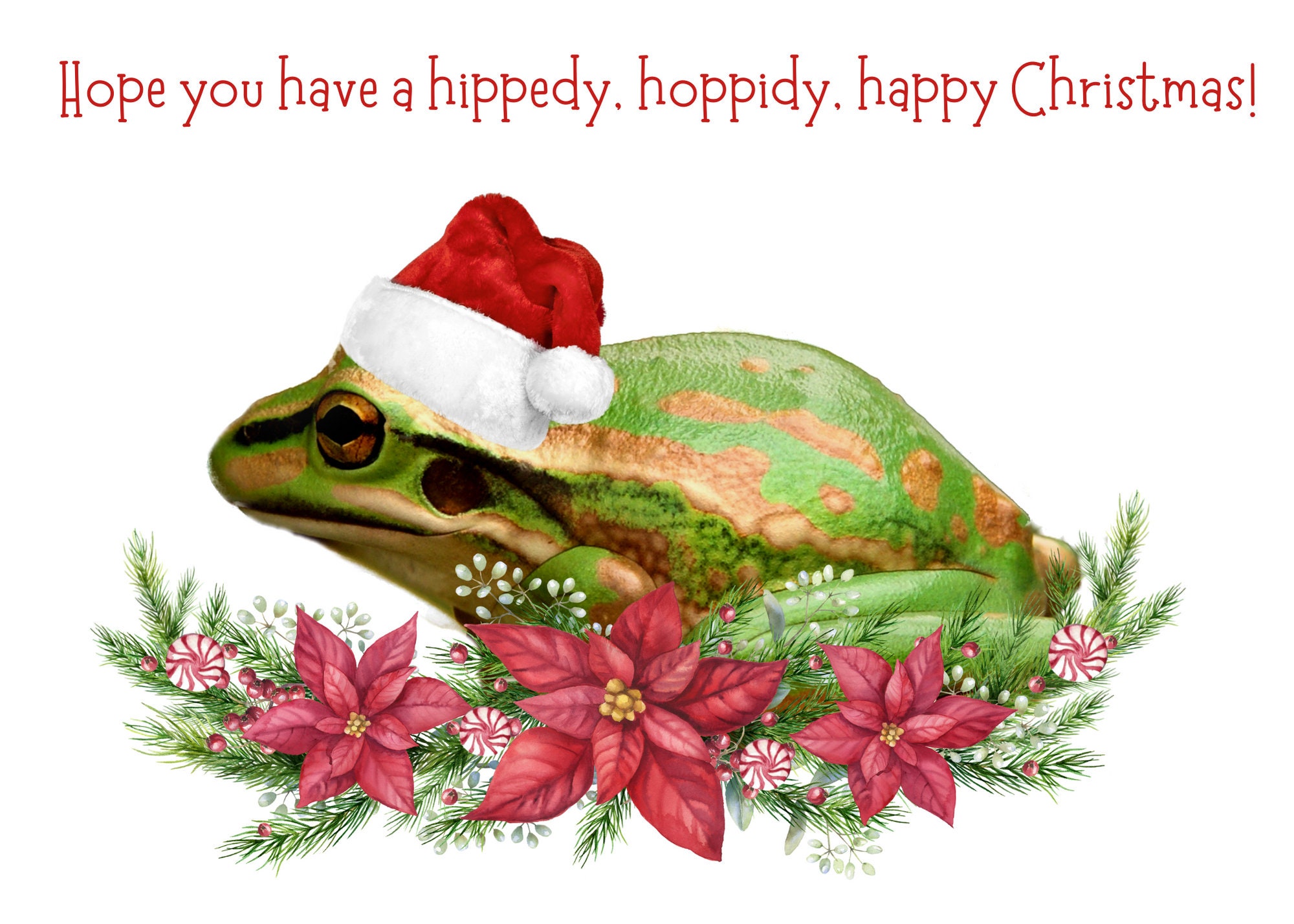 Funny Frog Christmas Card, Wildlife Christmas Card, Animal Christmas ...