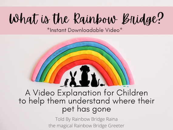 Pet Loss Video Explaining the Rainbow Bridge for a Child - Etsy