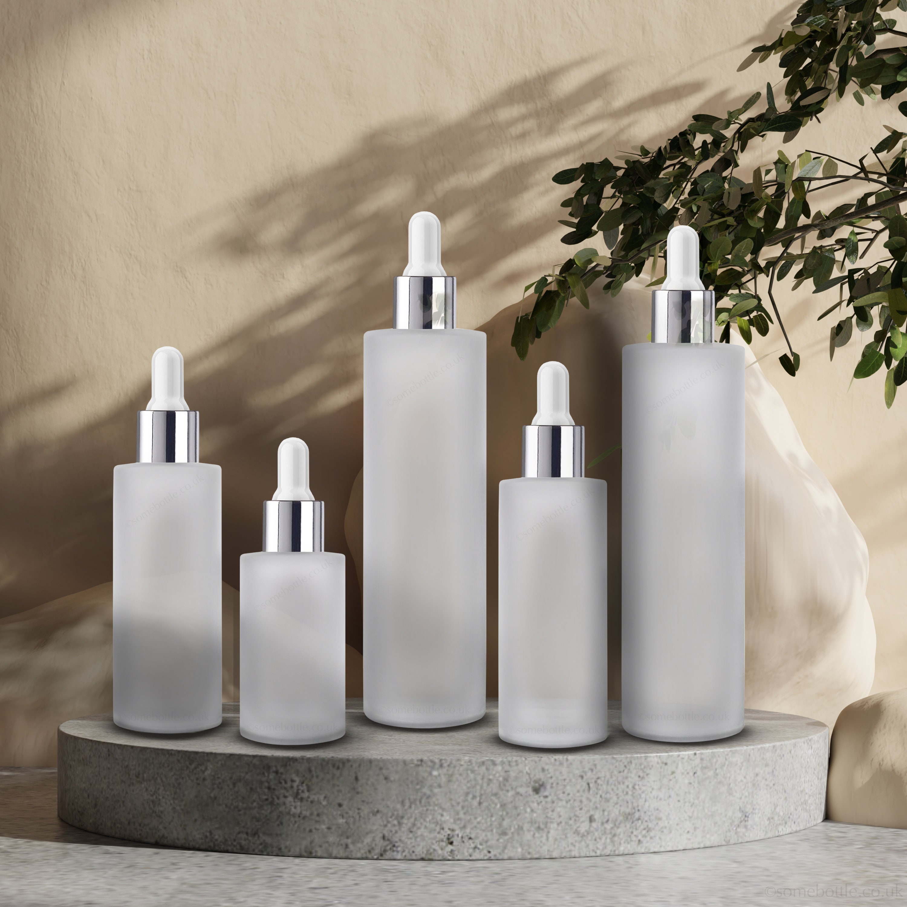 FROSTED Luxury Glass Cylinder Dropper Bottles With Silver Pipette Eye ...