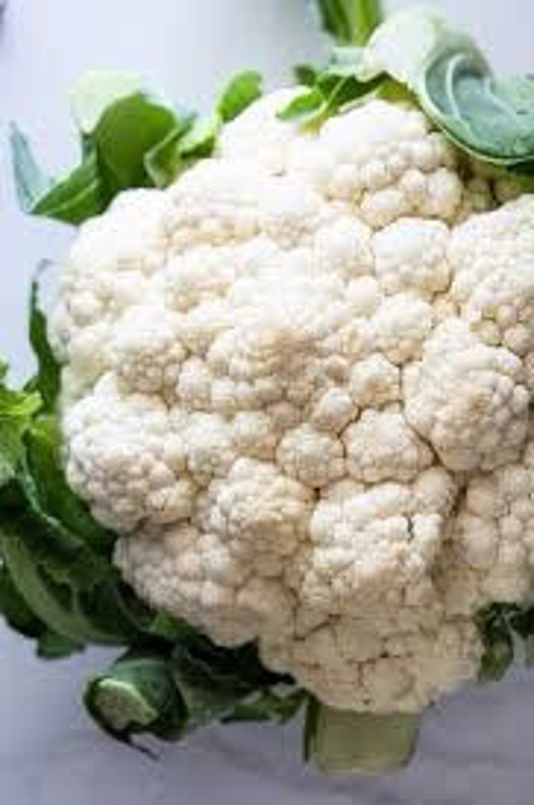 Snowball Y Improved Cauliflower Seeds - Etsy