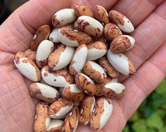 GreenFamilyHomestead - Etsy