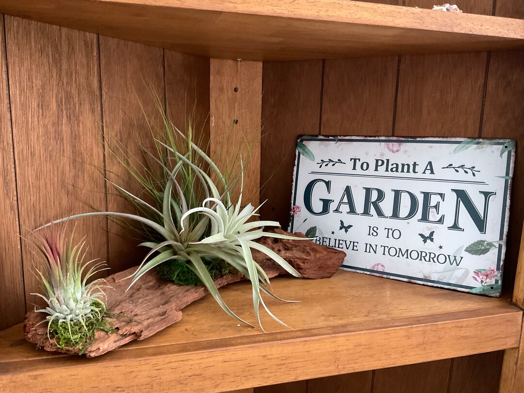 Metal Plant Sign to Plant A Garden is to Believe in Tomorrow 12x8 - Etsy