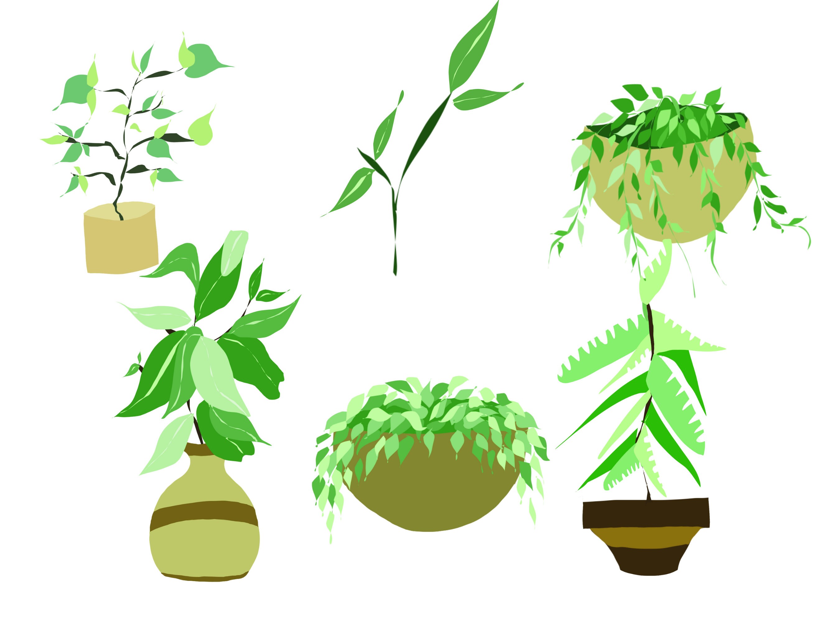 12 Plants Nature Clipart Icons Green Leaves, Stems, Vines, Printable ...
