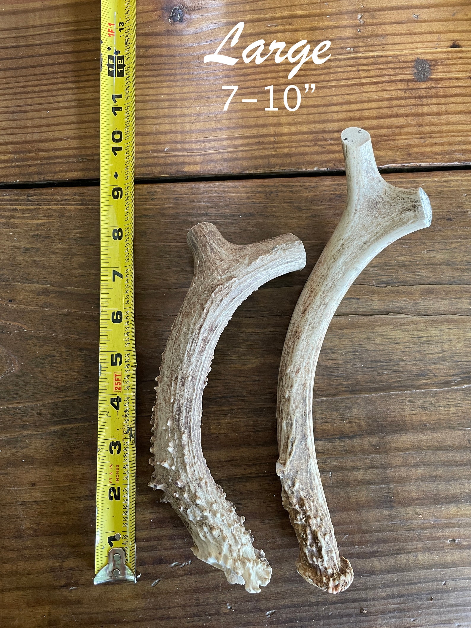 Texas Premium Deer Antler Dog Chews! | All Natural | Organic Dog Treats ...