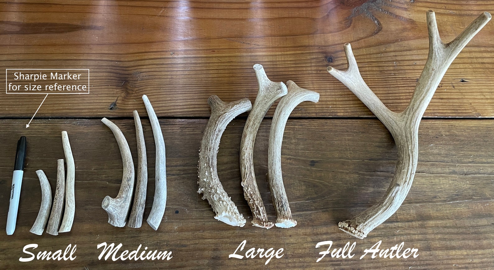 Texas Premium Deer Antler Dog Chews! | All Natural | Organic Dog Treats ...