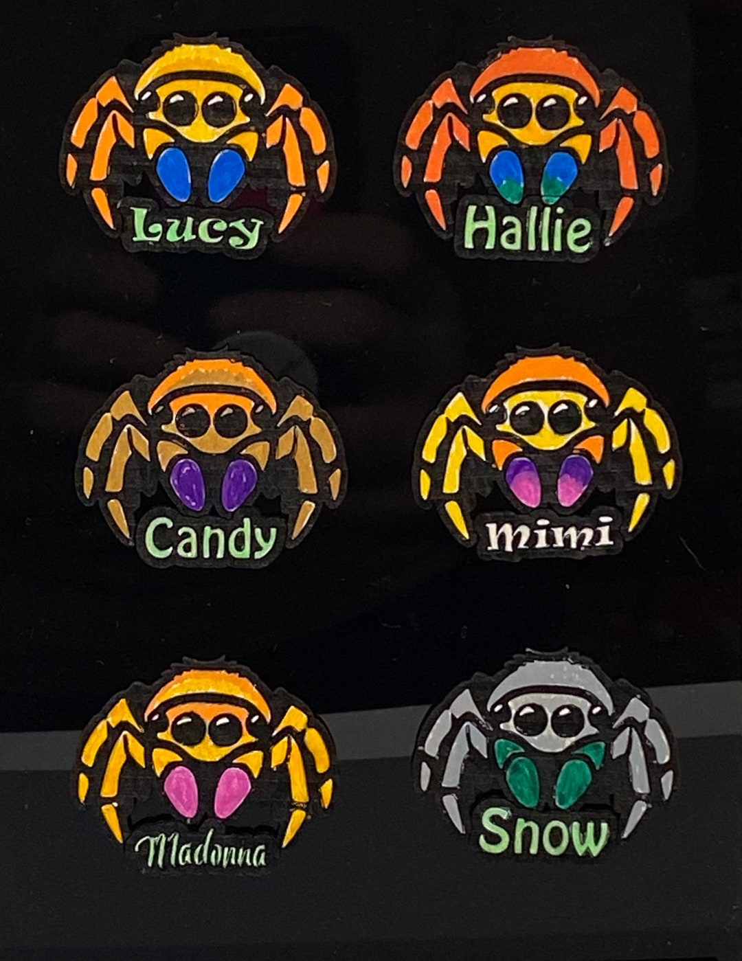 Jumping Spider Name Tag - Etsy