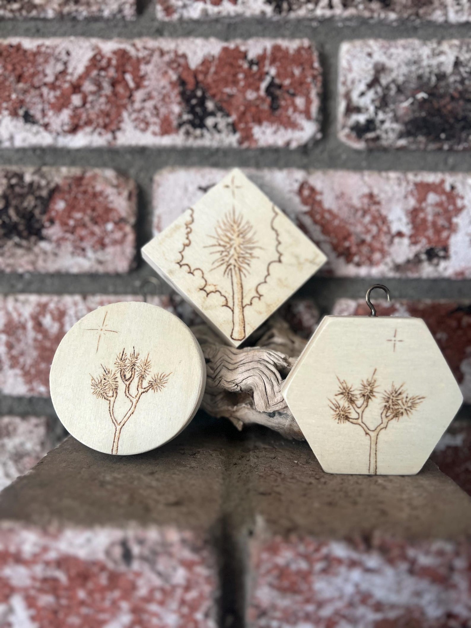 Joshua Tree Wood Burned Ornaments Ready to Hang With 1/4” Hook - Merry ...