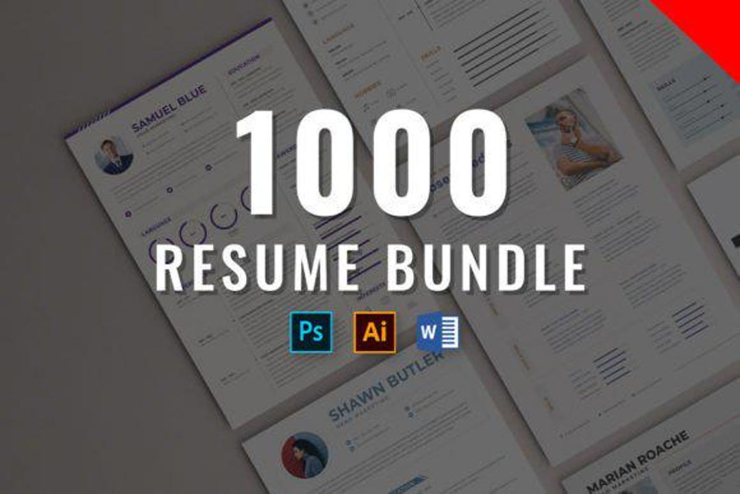 1000 Resume Templates BUNDLE - Professional, Editable Cvs for Job ...