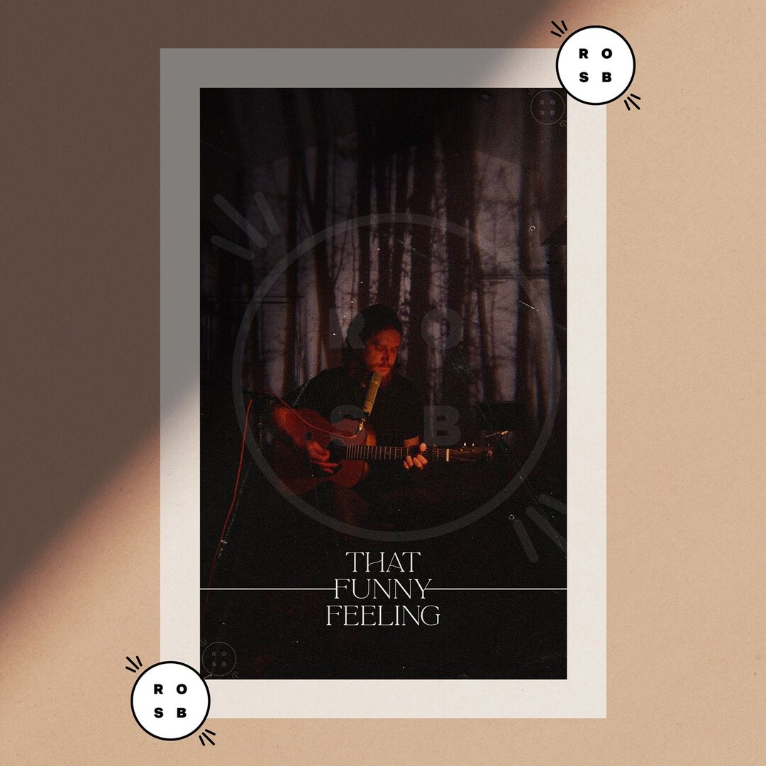 Bo Burnham Poster: That Funny Feeling - Etsy