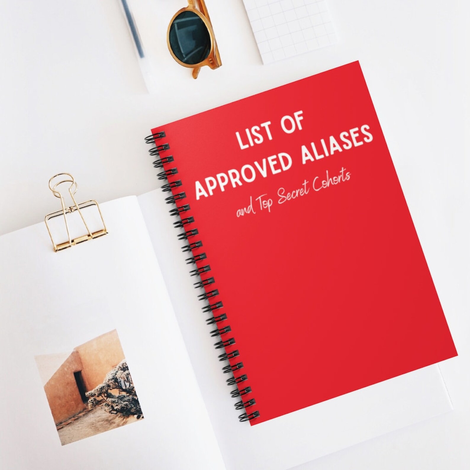 List of Approved Aliases and Top Secret Cohorts | Funny Notebook ...