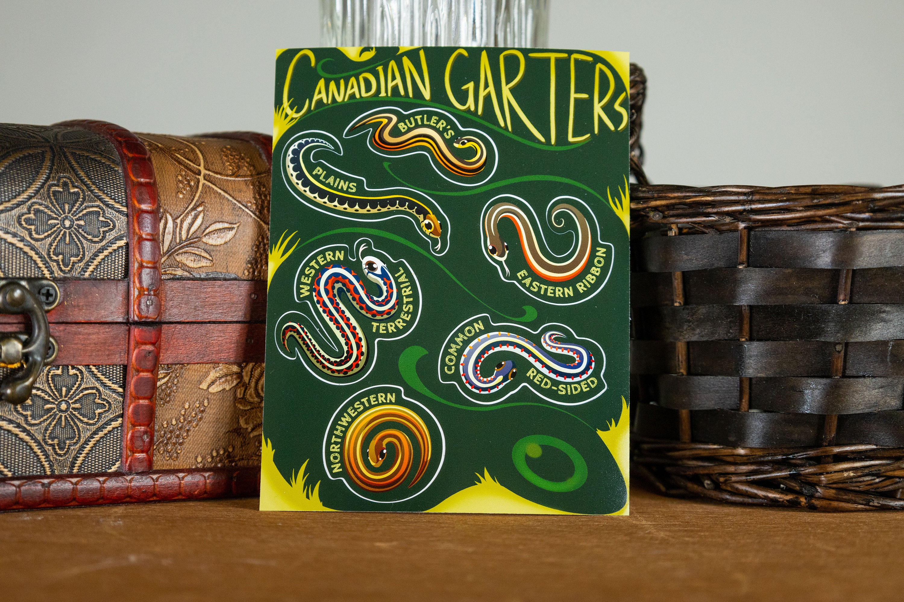 Garter Snake Sticker Sheet - Etsy