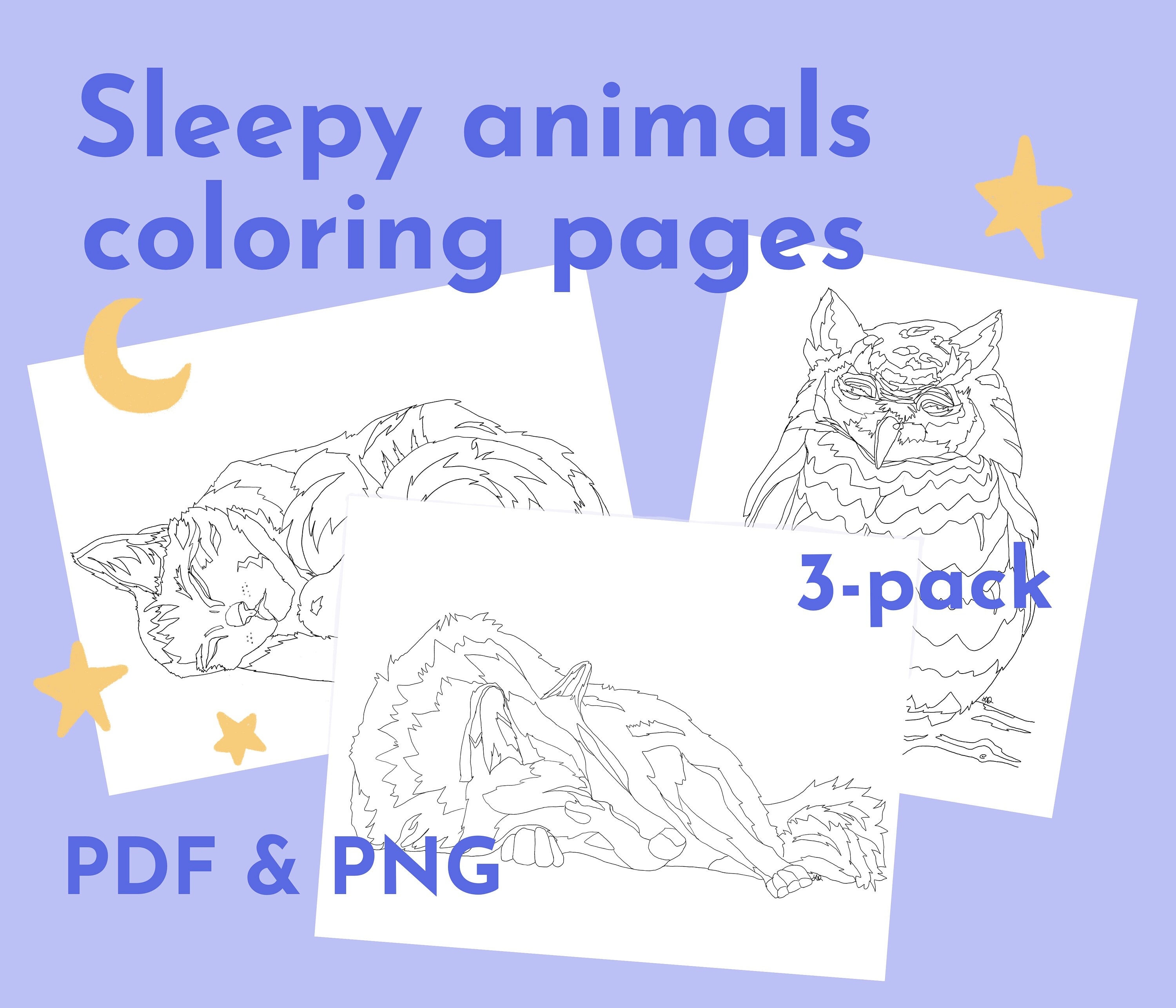 3-pack Sleeping Animals Coloring Page, Digital Download, Hand-drawn ...