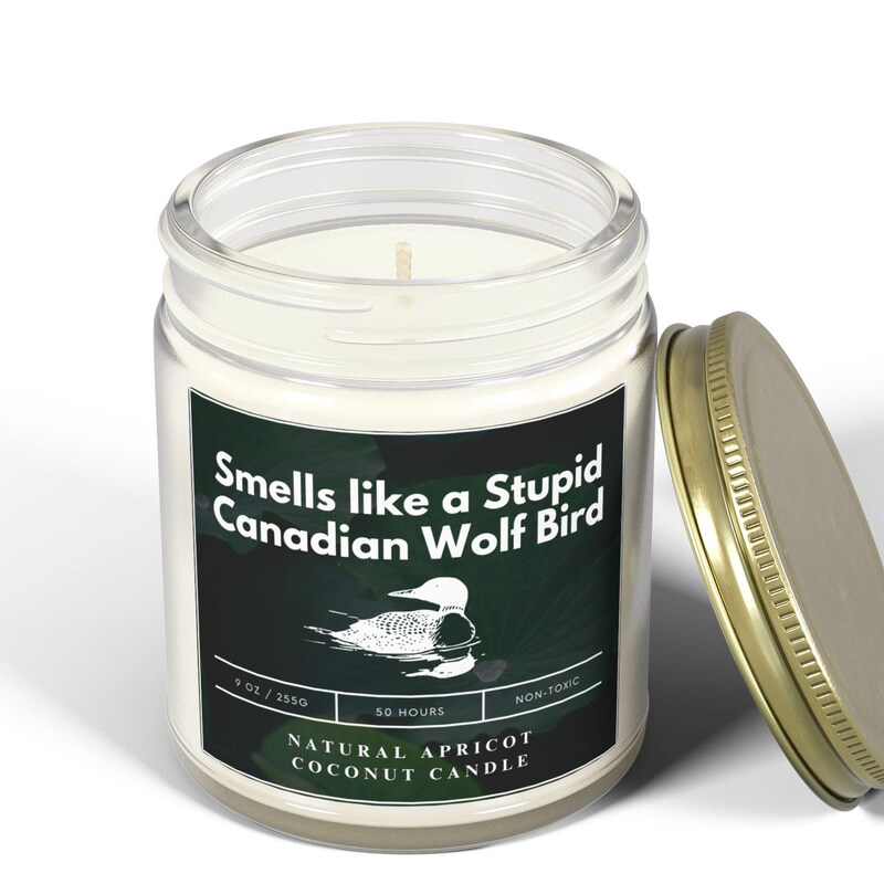 Hollanov Candle - Etsy