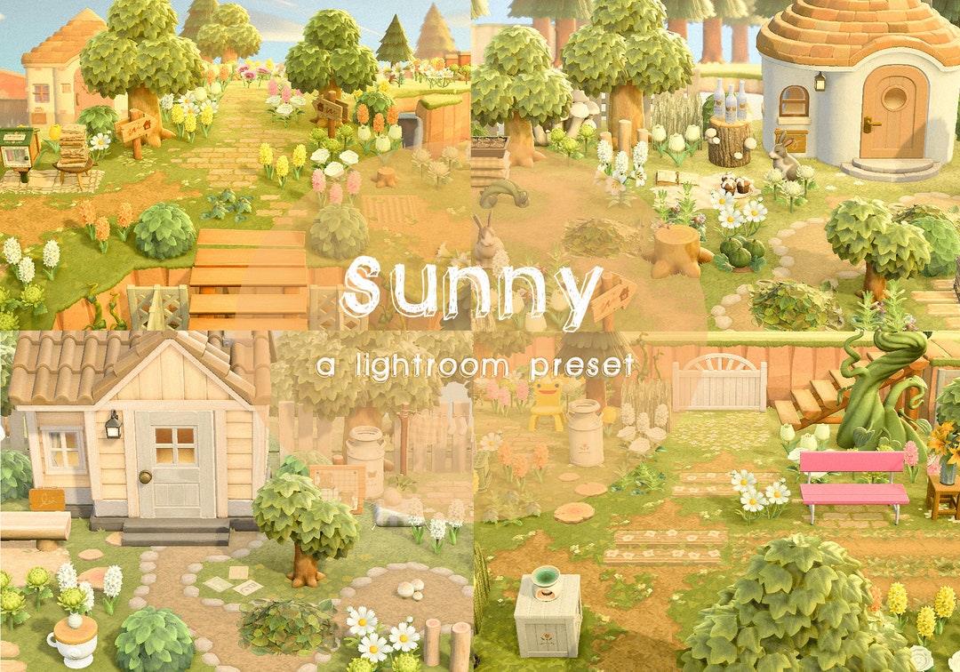Sunny Preset, ACNH Photo Preset - Etsy