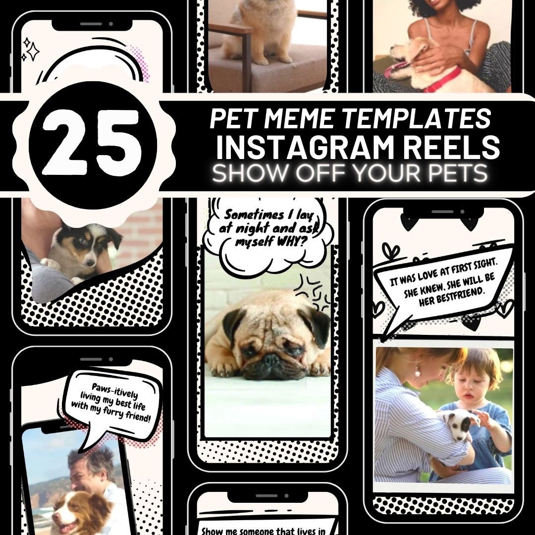 Pet Meme Instagram Reels Templates Pets Instagram Reels Templates Pet ...