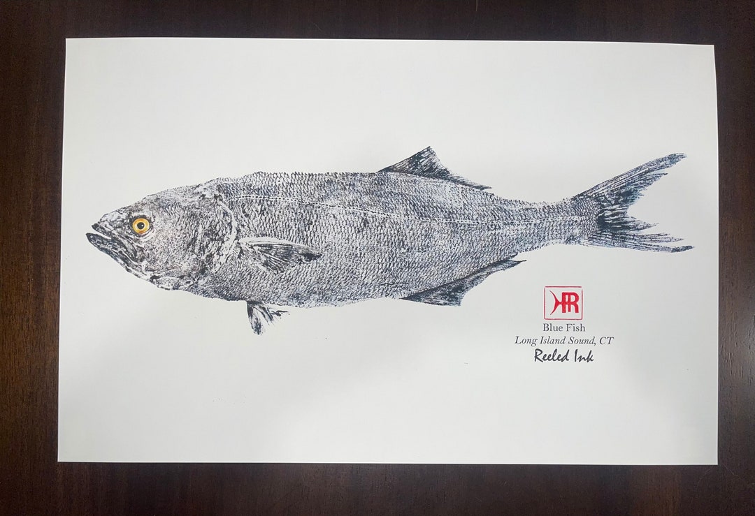 Bluefish Print - Etsy