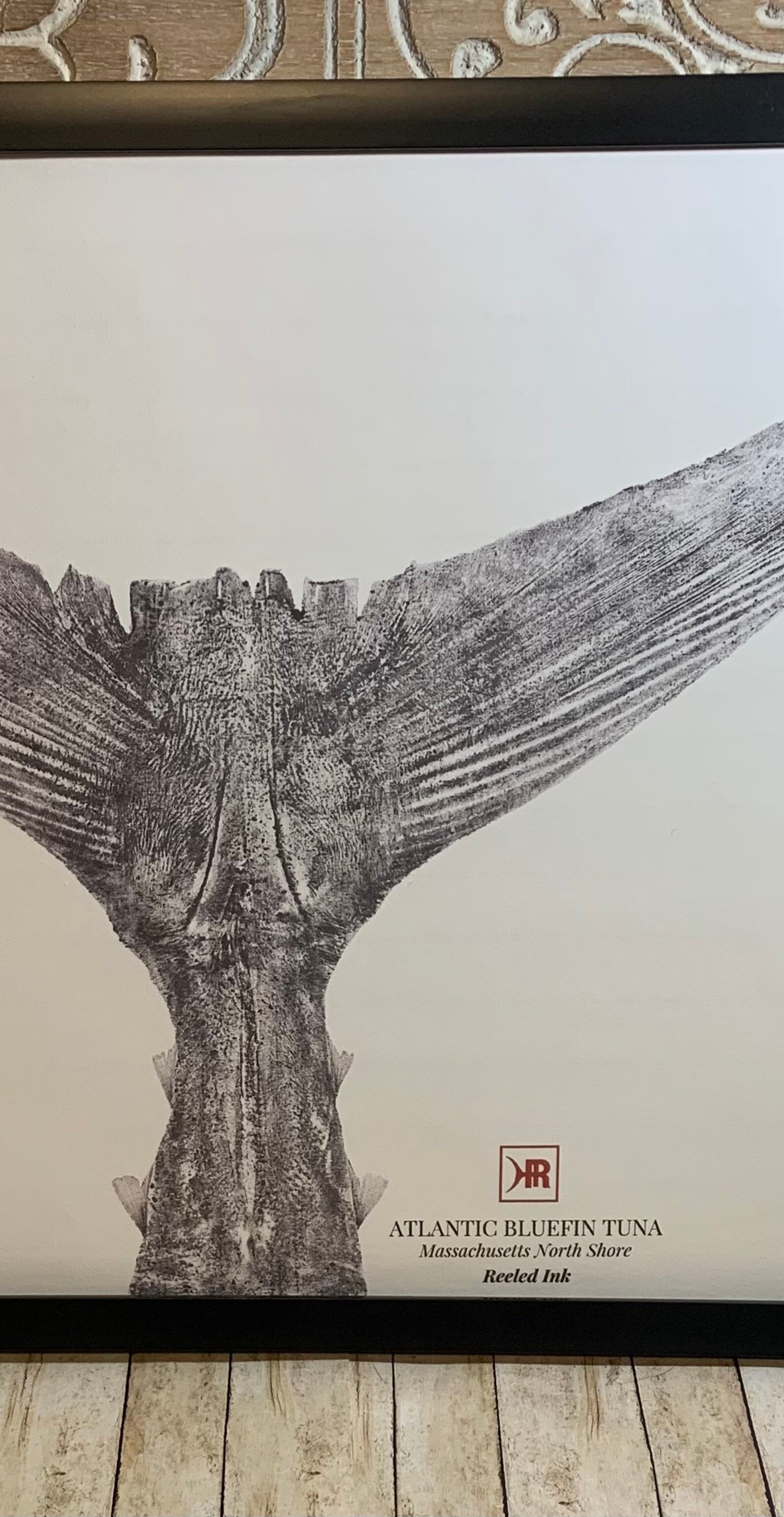 Atlantic Bluefin Tuna Print Caught on Massachusetts' - Etsy