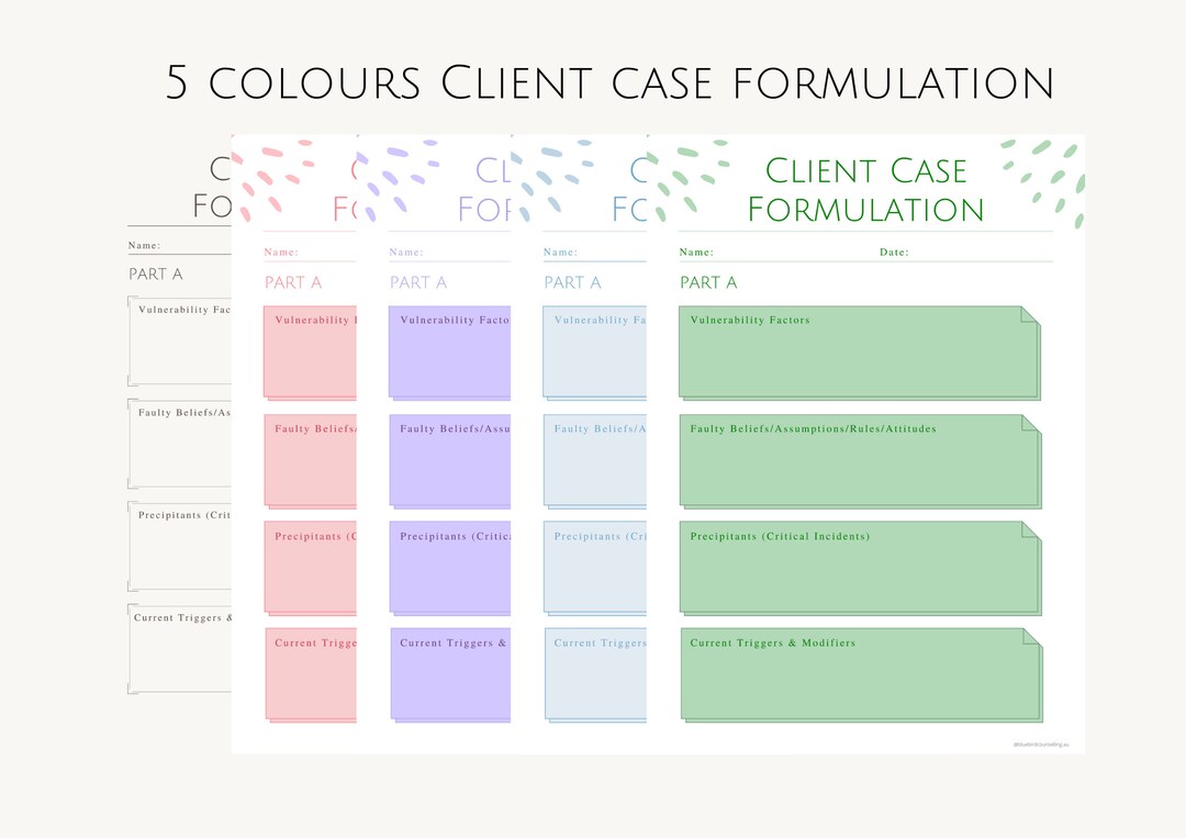 Therapist Planner, 5 COLOURS, Counsellor Client Case Formulation ...