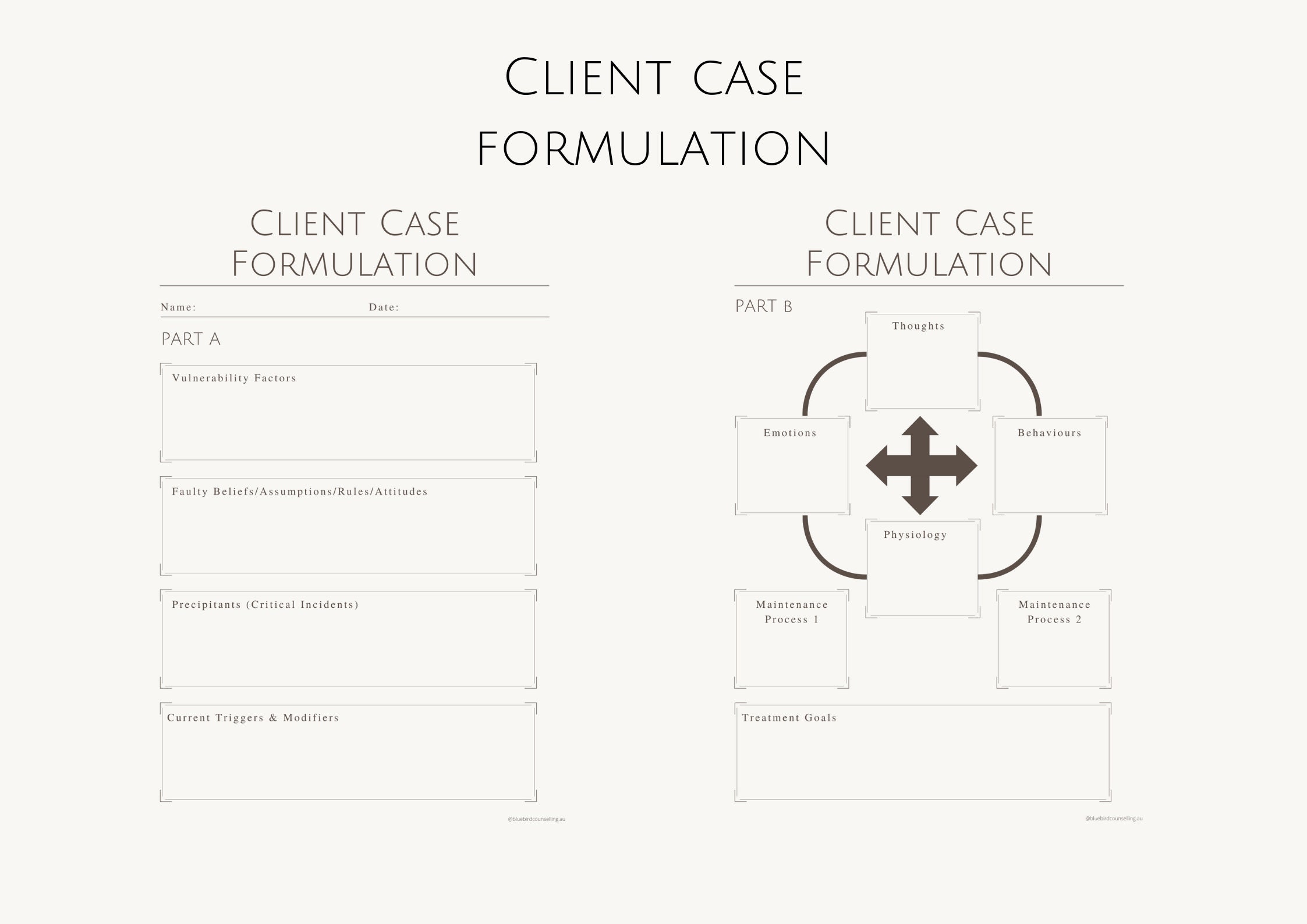 Therapist Planner, Counsellor Client Case Formulation Printable ...