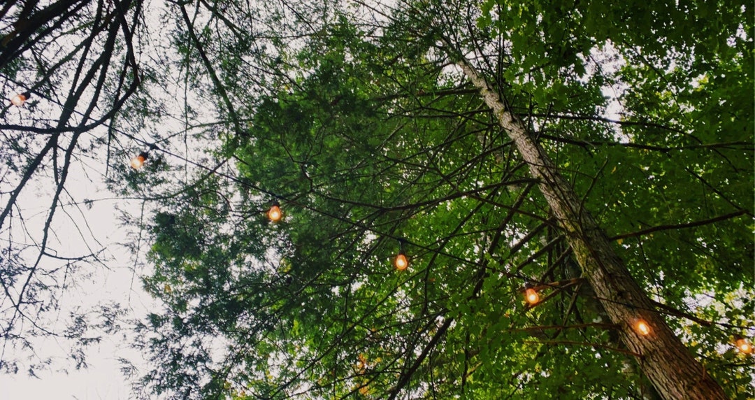 String of Lights - Etsy