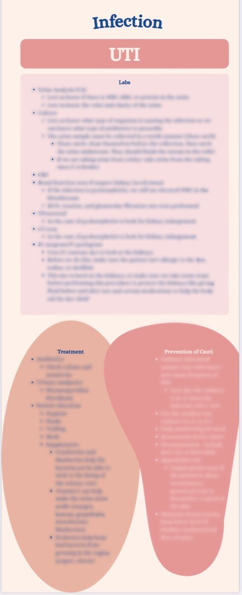 Urinary Tract Infection (UTI) & Sepsis NURSING NOTES - Etsy