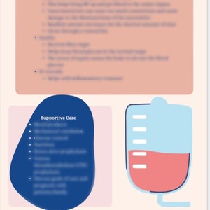 Urinary Tract Infection (UTI) & Sepsis NURSING NOTES - Etsy