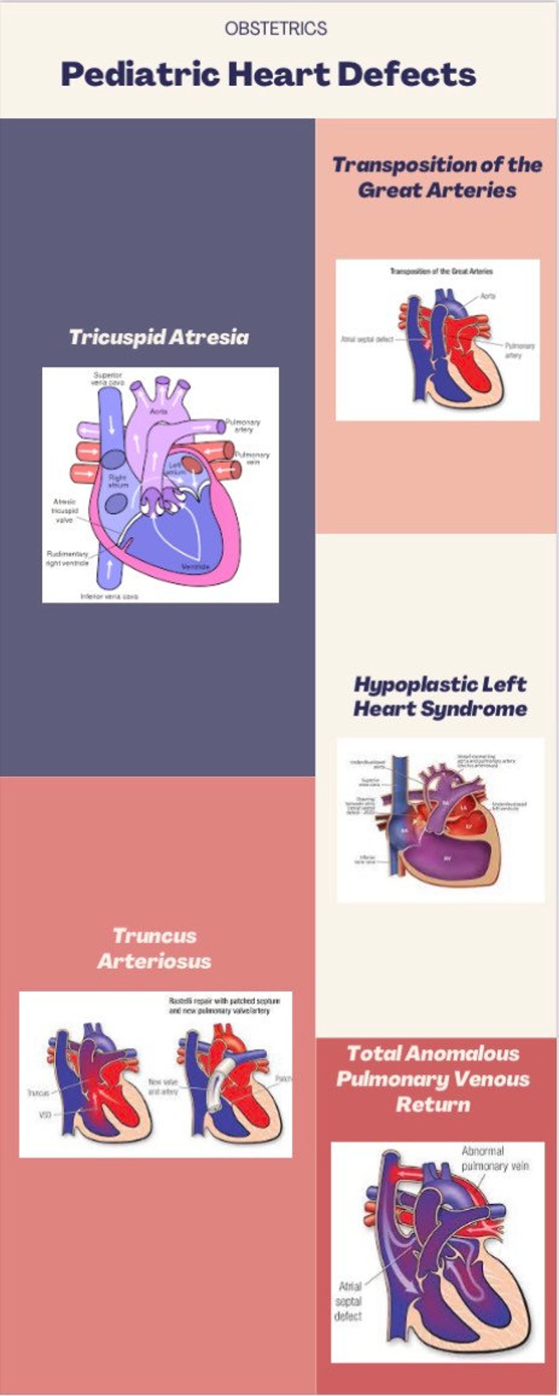 Fetal Circulation and Pediatric Heart Defects Nursing Notes - Etsy