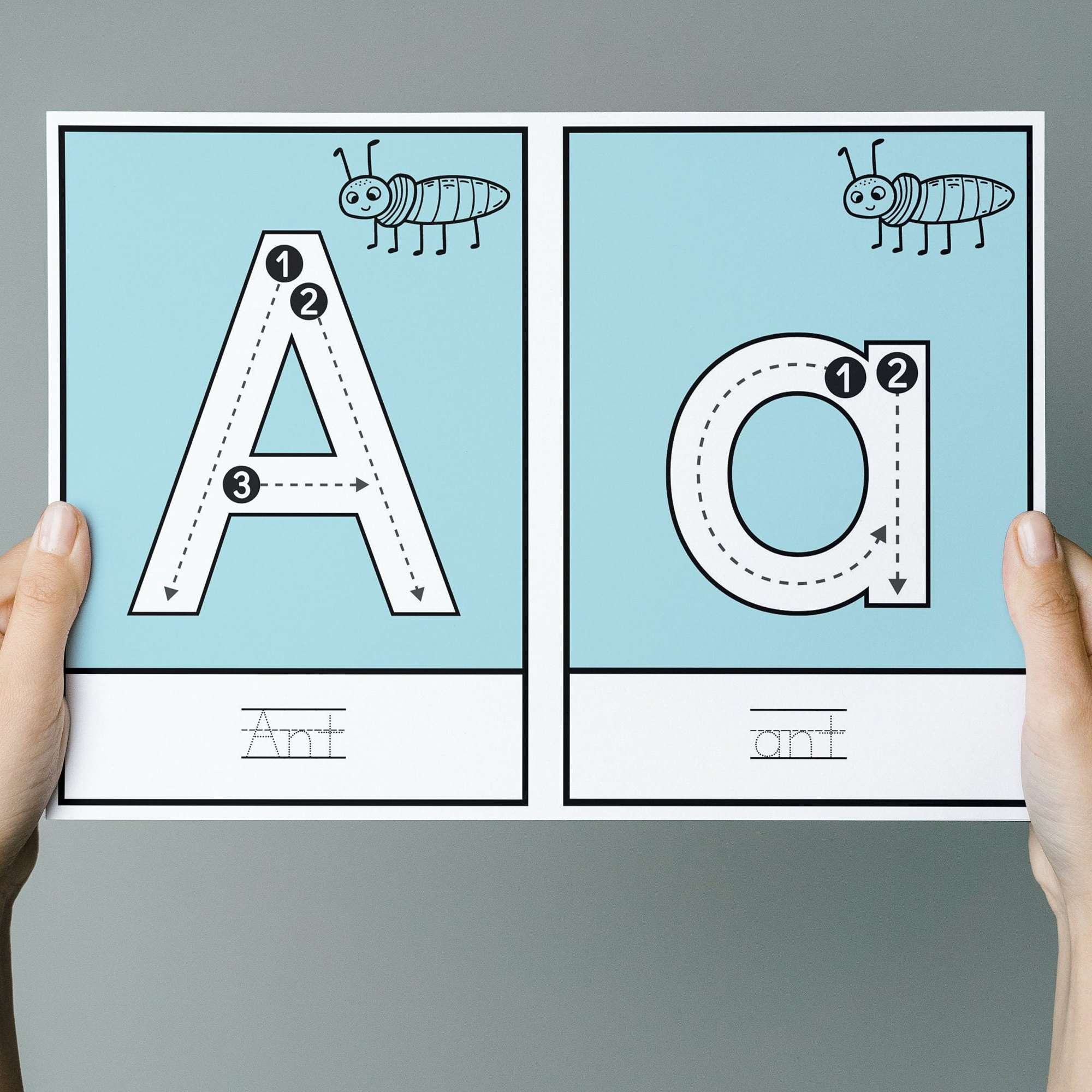 Alphabet Flashcard Capital and Small Letters With Picture Nursery ...
