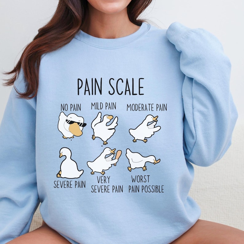 Pain Scale Sweatshirt Silly Goose Tee Emergency Room Nurse Physical ...
