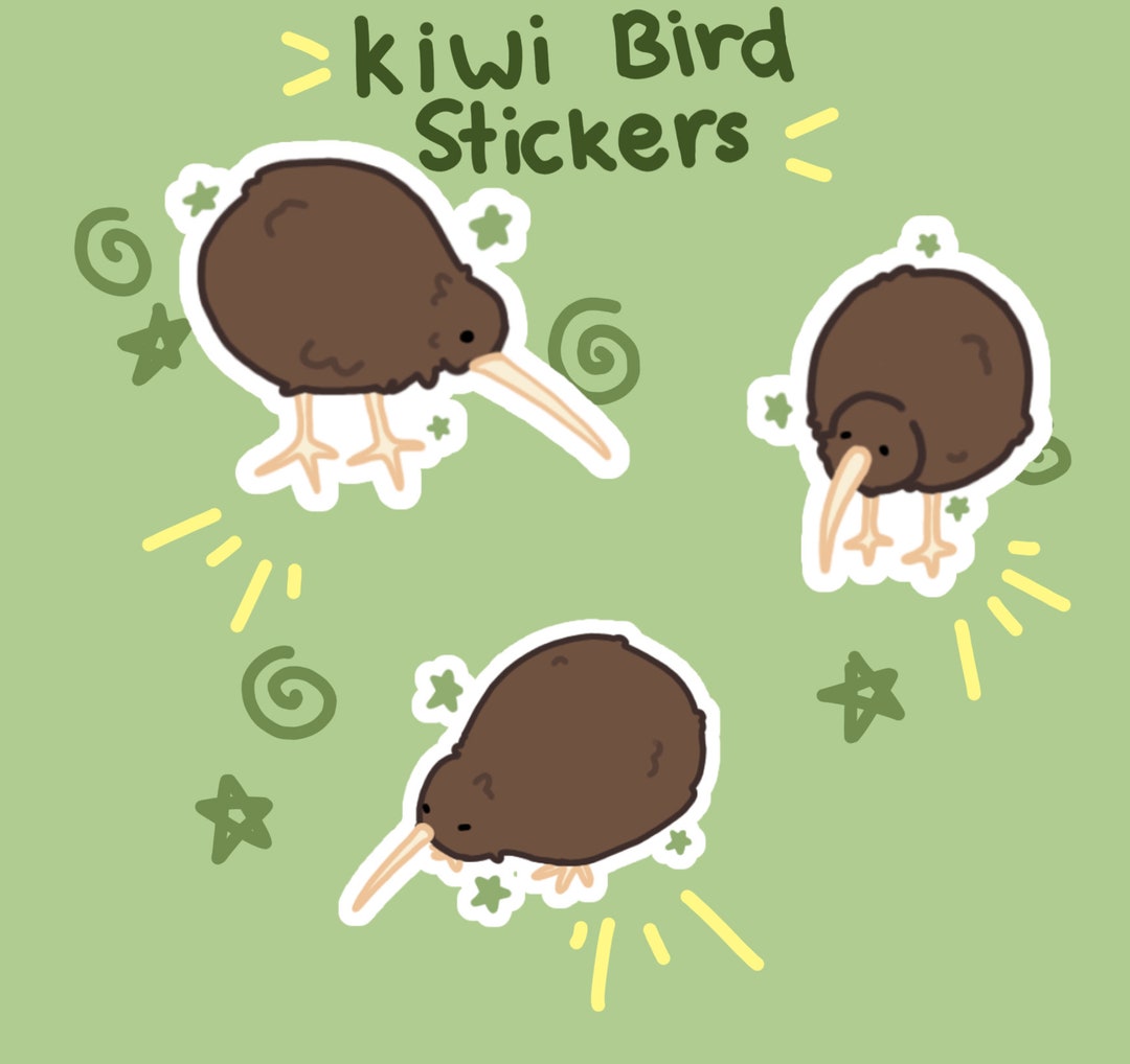Kiwi Bird Stickers 3 Pack - Etsy