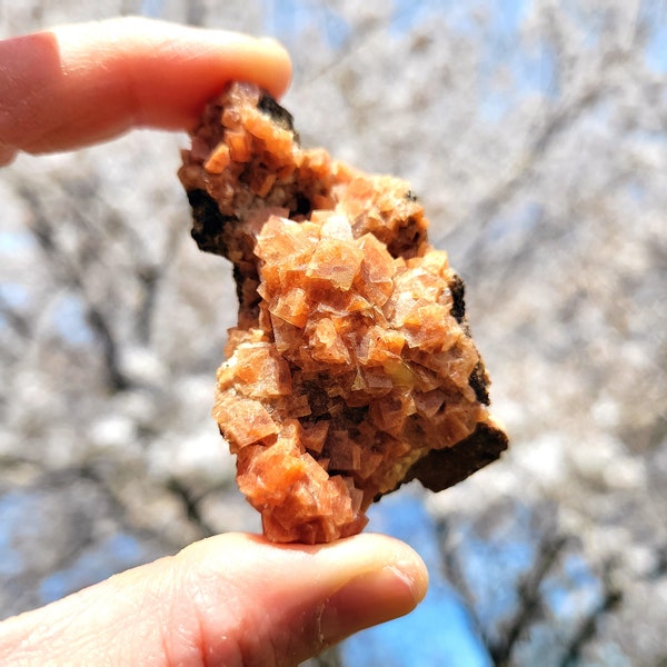 Nova Scotia Crystal - Etsy