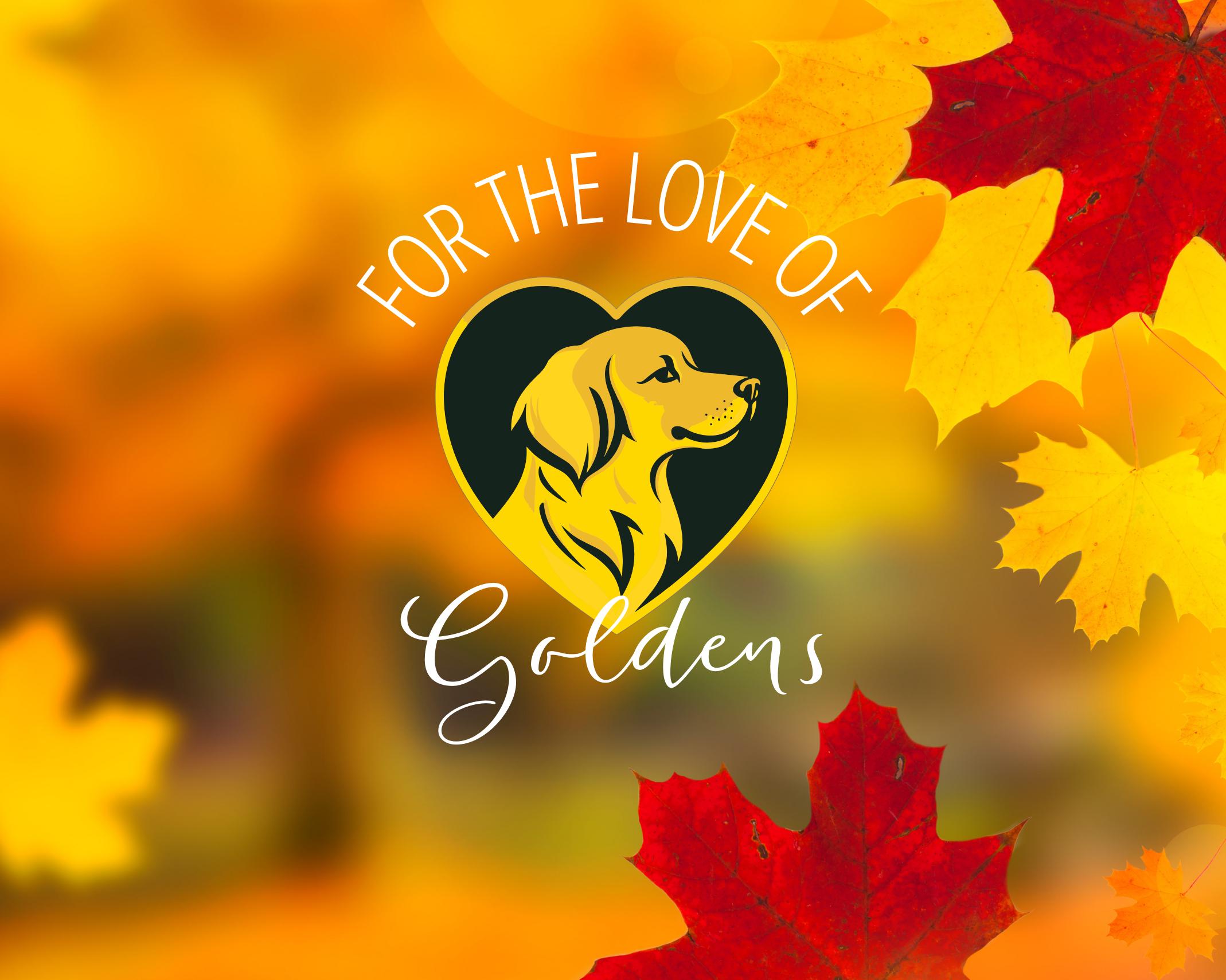 Dog Business Logo — Golden Retriever Branding Kit Template — Premade ...