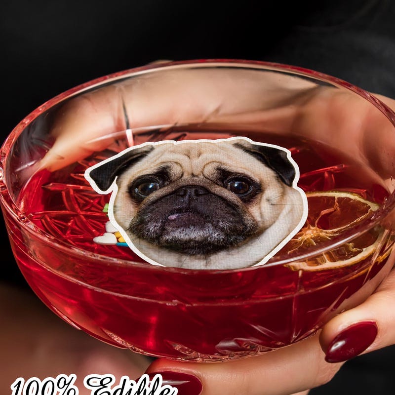 Cut Out Edible Drink - Etsy