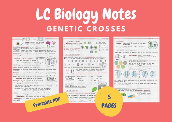 Genetic Notes - Etsy
