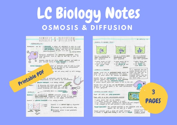 Osmosis And Diffusion