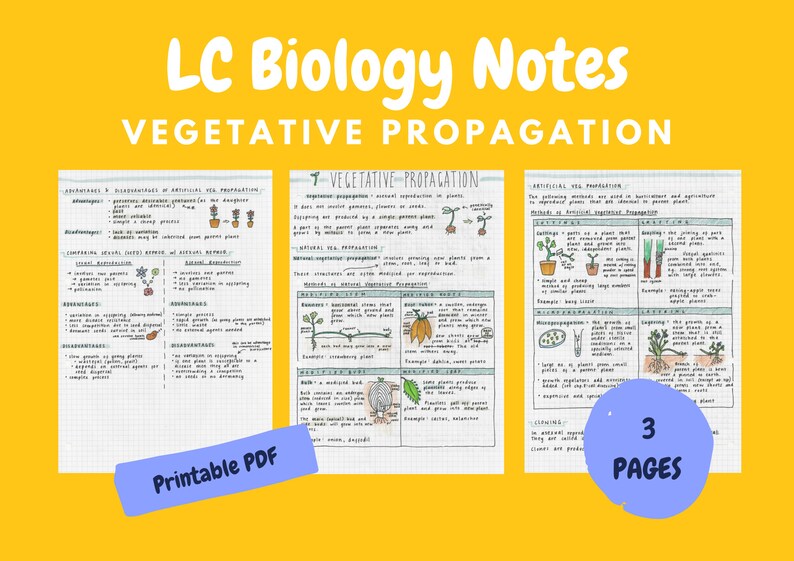Vegetative Propagation Notes - Leaving Cert Biology - Etsy