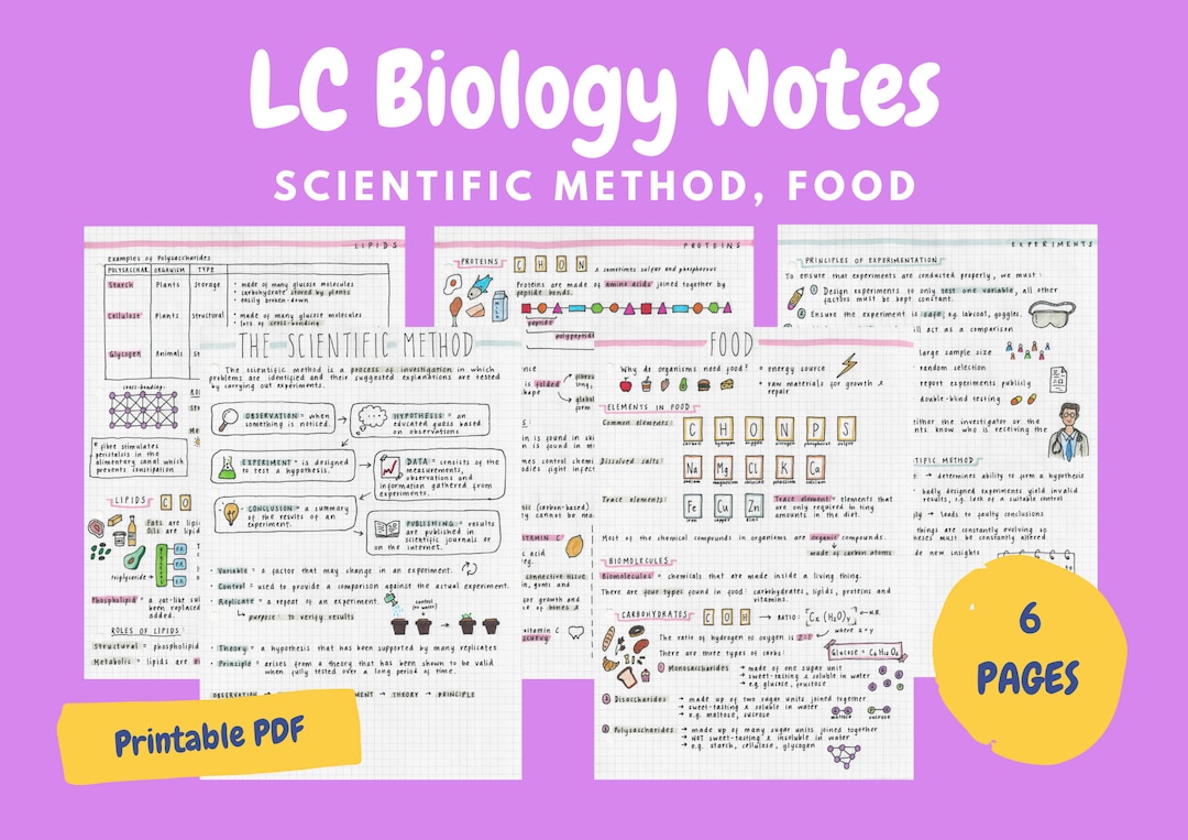 Scientific Method and Food Notes - Leaving Cert Biology - Etsy