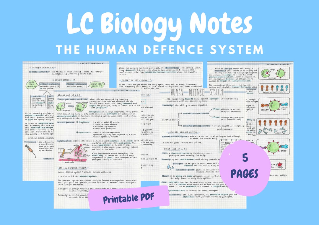 Human Defence System Notes - Leaving Cert Biology - Etsy