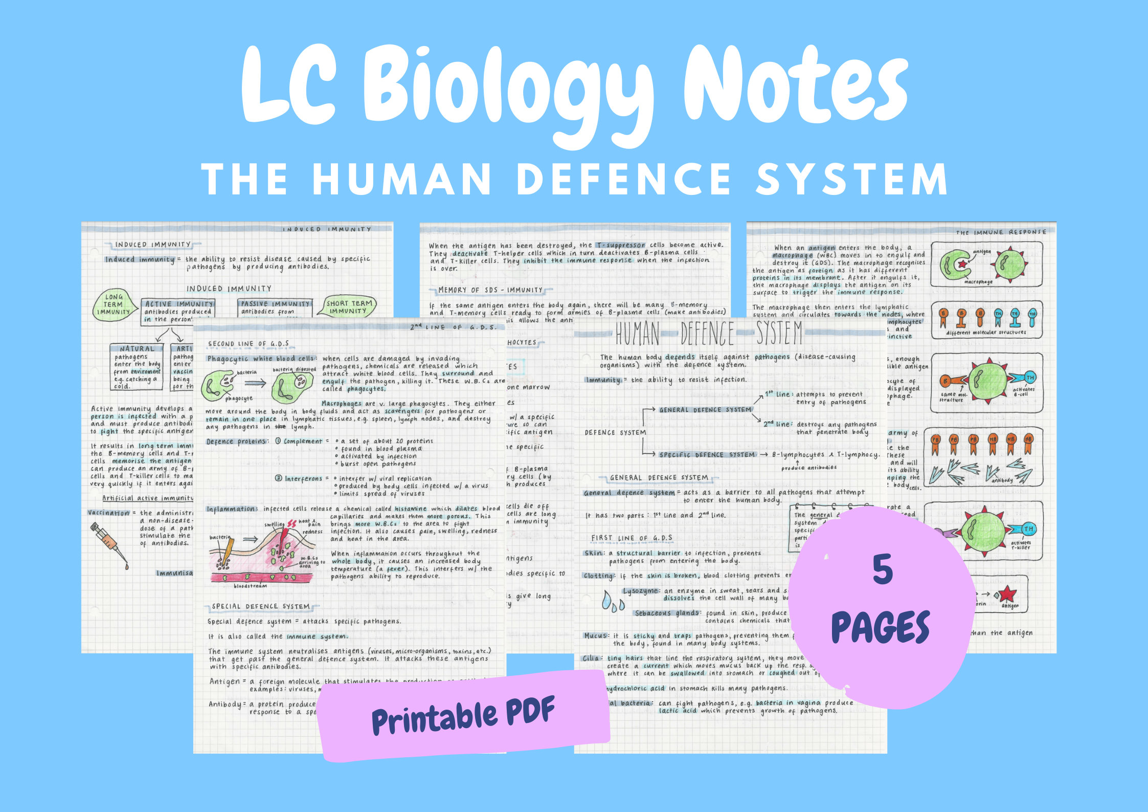 Human Defence System Notes - Leaving Cert Biology - Etsy
