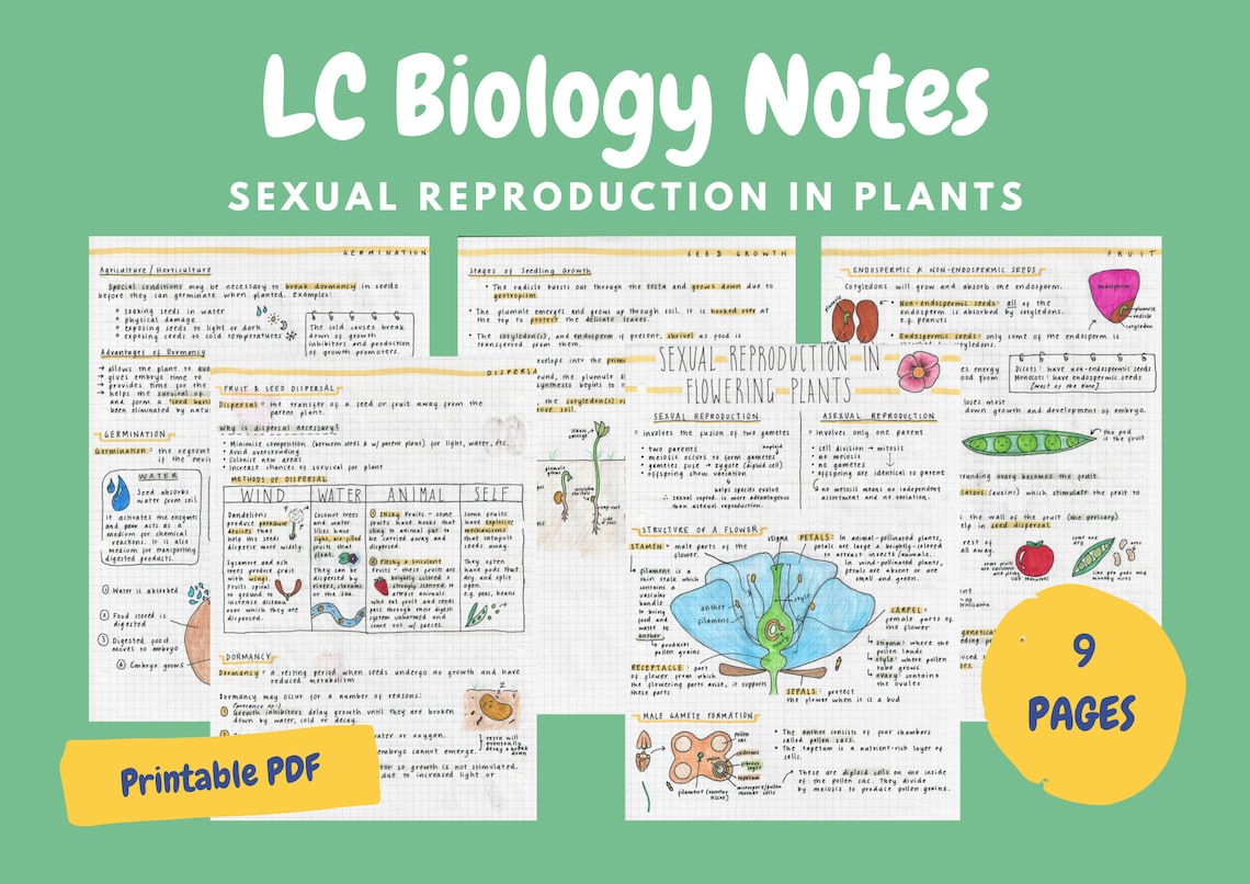 Sexual Reproduction in Plants Notes - Leaving Cert Biology - Etsy
