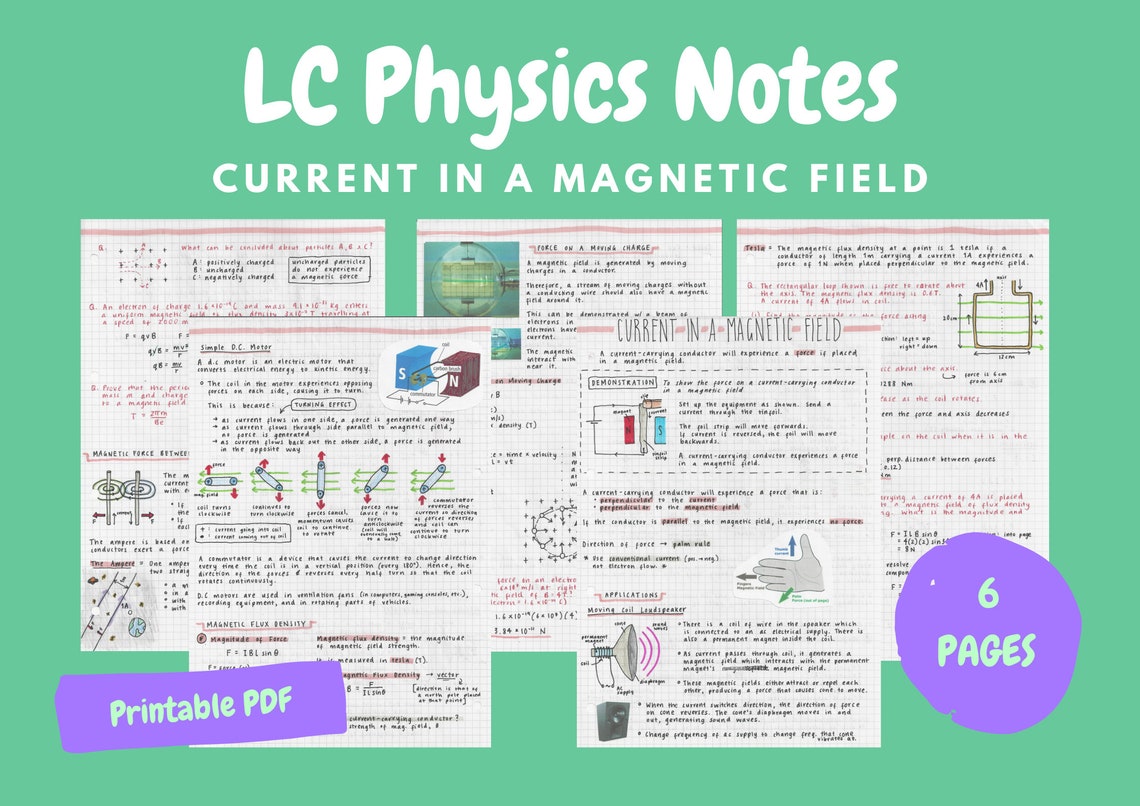 Current in a Magnetic Field Notes - Leaving Cert Physics - Etsy
