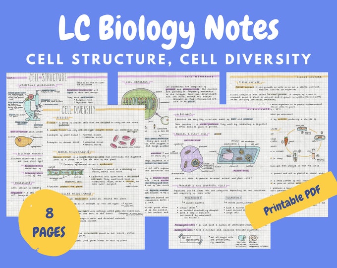 IB SL/HL Detailed History Notes Paper 2 3 International Baccalaureate ...