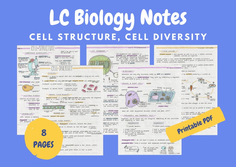 Cell Structure and Cell Diversity Notes - Leaving Cert Biology - Etsy