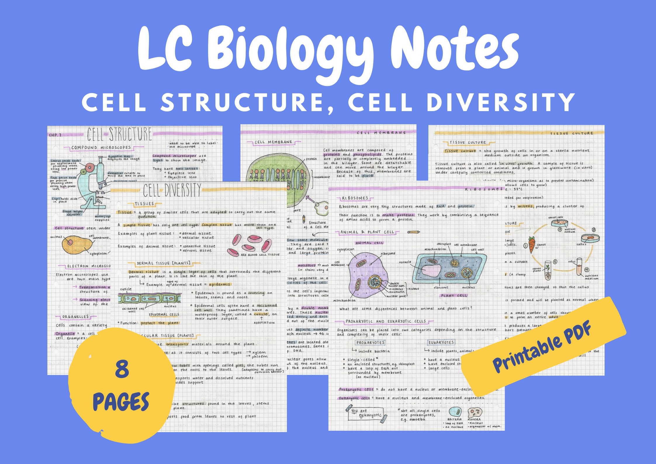 Cell Structure and Cell Diversity Notes - Leaving Cert Biology - Etsy