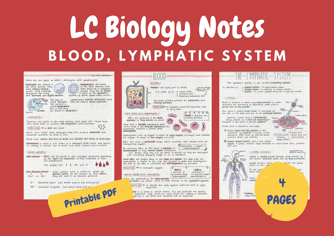 Blood & Lymphatic System Notes - Leaving Cert Biology - Etsy